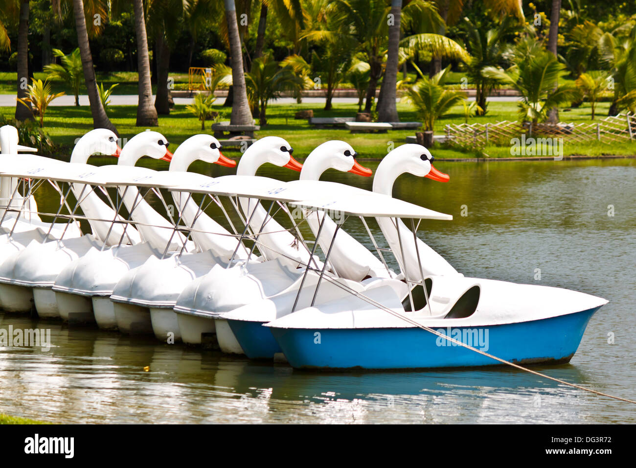 Tretboot Schwan Stockfotos und -bilder Kaufen - Alamy