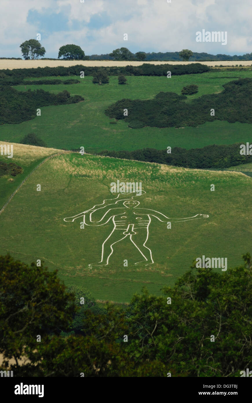Cerne giant -Fotos und -Bildmaterial in hoher Auflösung – Alamy