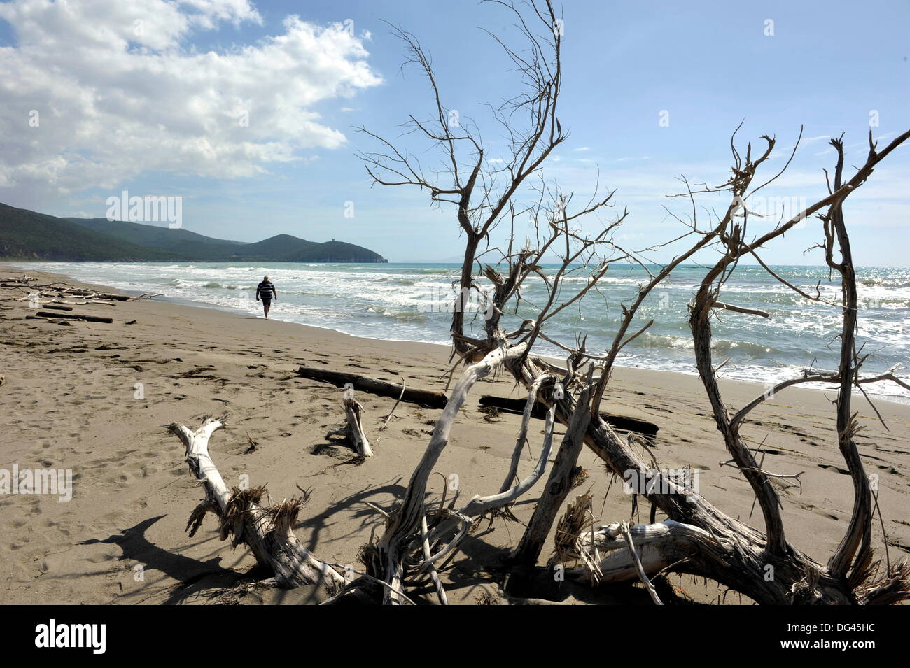 Alberese strand -Fotos und -Bildmaterial in hoher Auflösung – Alamy
