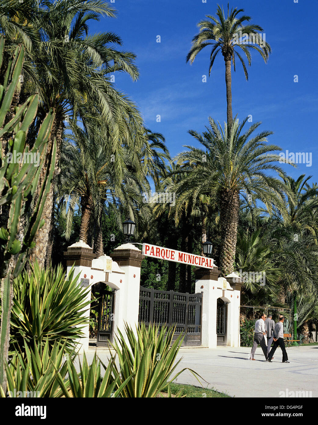 Elche stadtpark -Fotos und -Bildmaterial in hoher Auflösung – Alamy