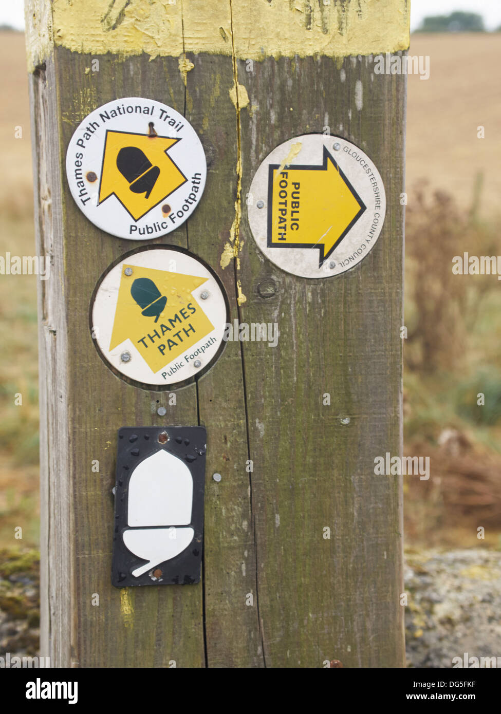 Ikonisches symbol von england -Fotos und -Bildmaterial in hoher ...