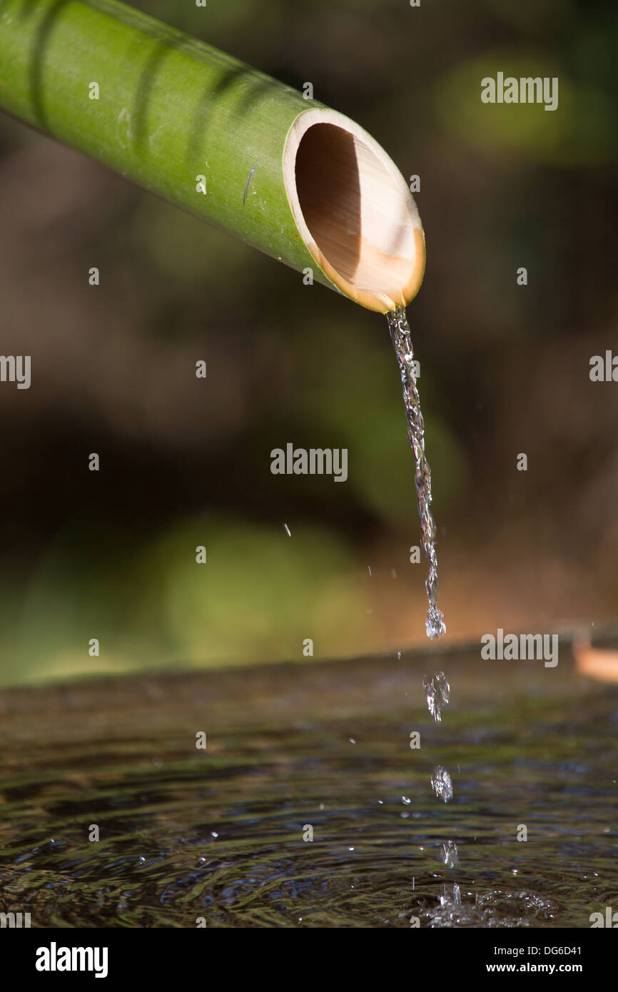 Traditionelle japanische naturbegriffe -Fotos und -Bildmaterial in ...