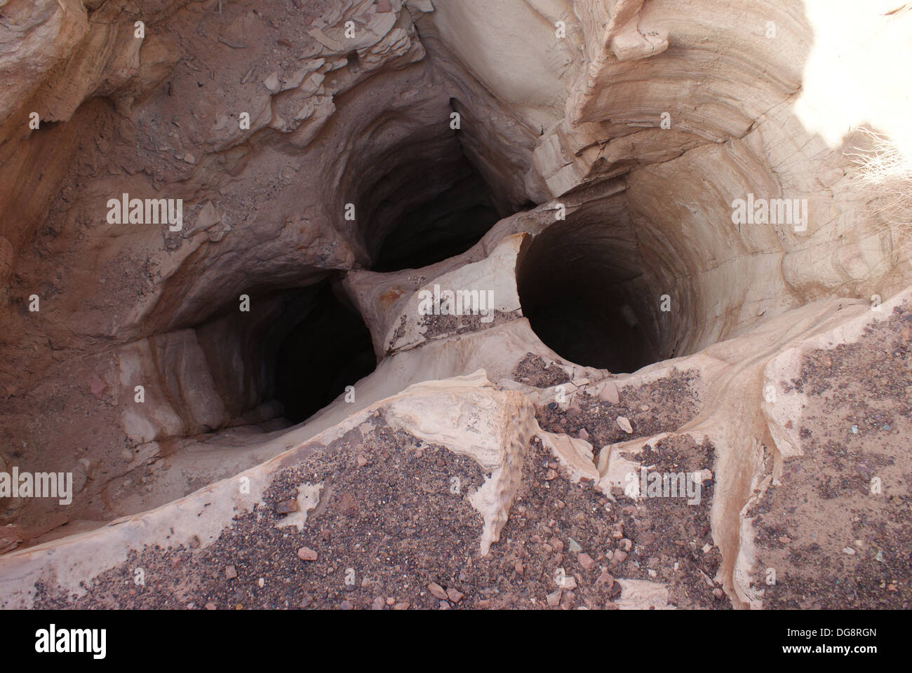 Rscn -Fotos und -Bildmaterial in hoher Auflösung – Alamy