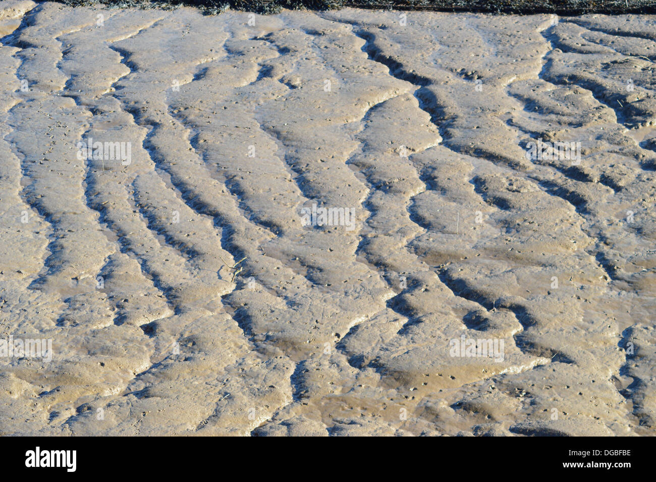 Schlamm bei ebbe -Fotos und -Bildmaterial in hoher Auflösung – Alamy