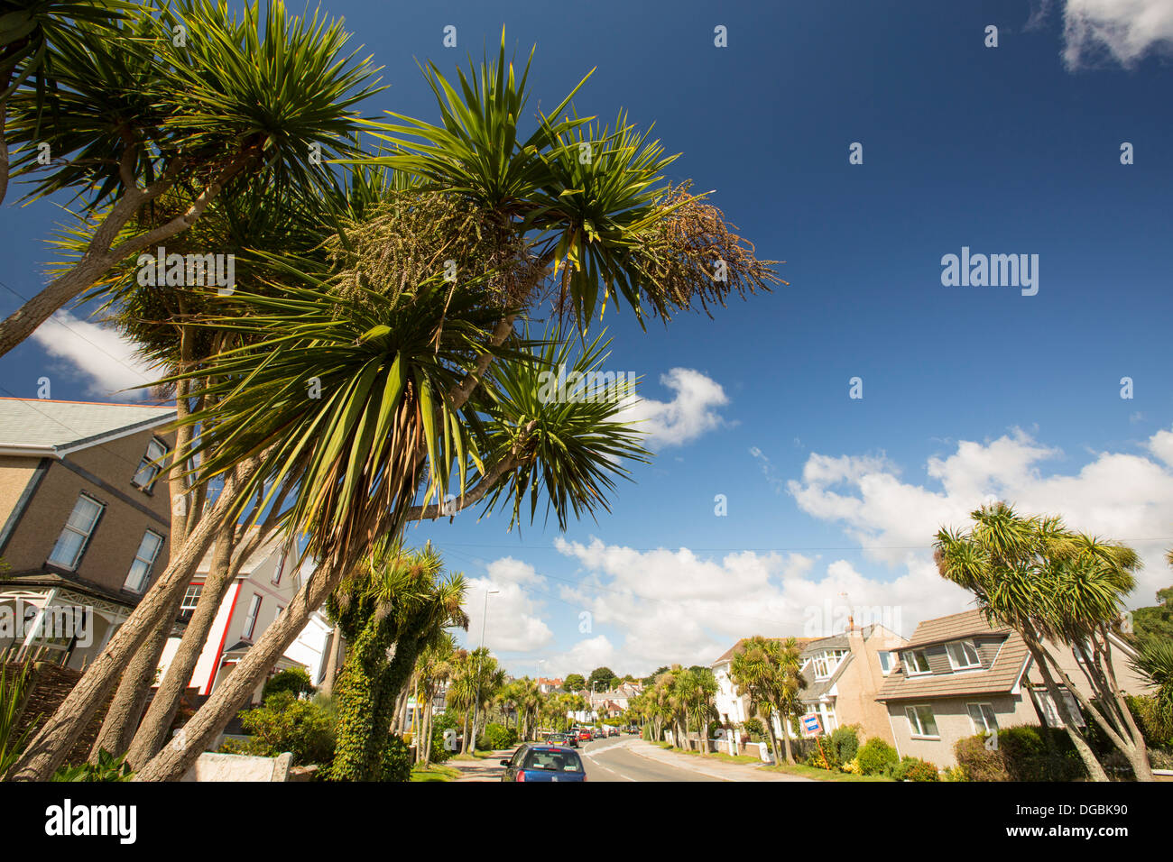 Britisches palmenhaus -Fotos und -Bildmaterial in hoher Auflösung – Alamy