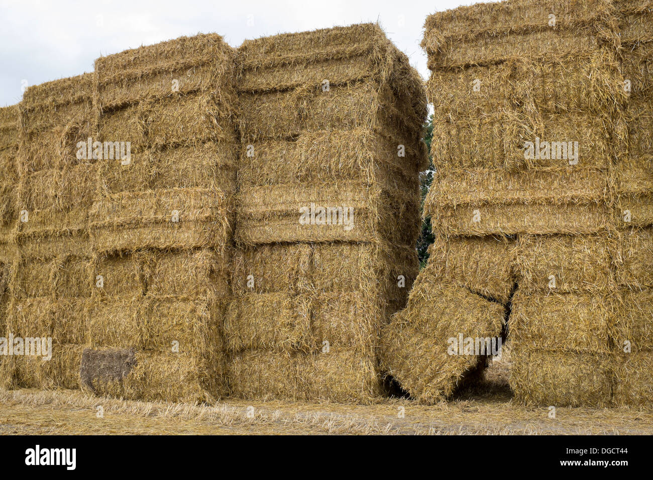 Heuballen stapeln -Fotos und -Bildmaterial in hoher Auflösung – Alamy