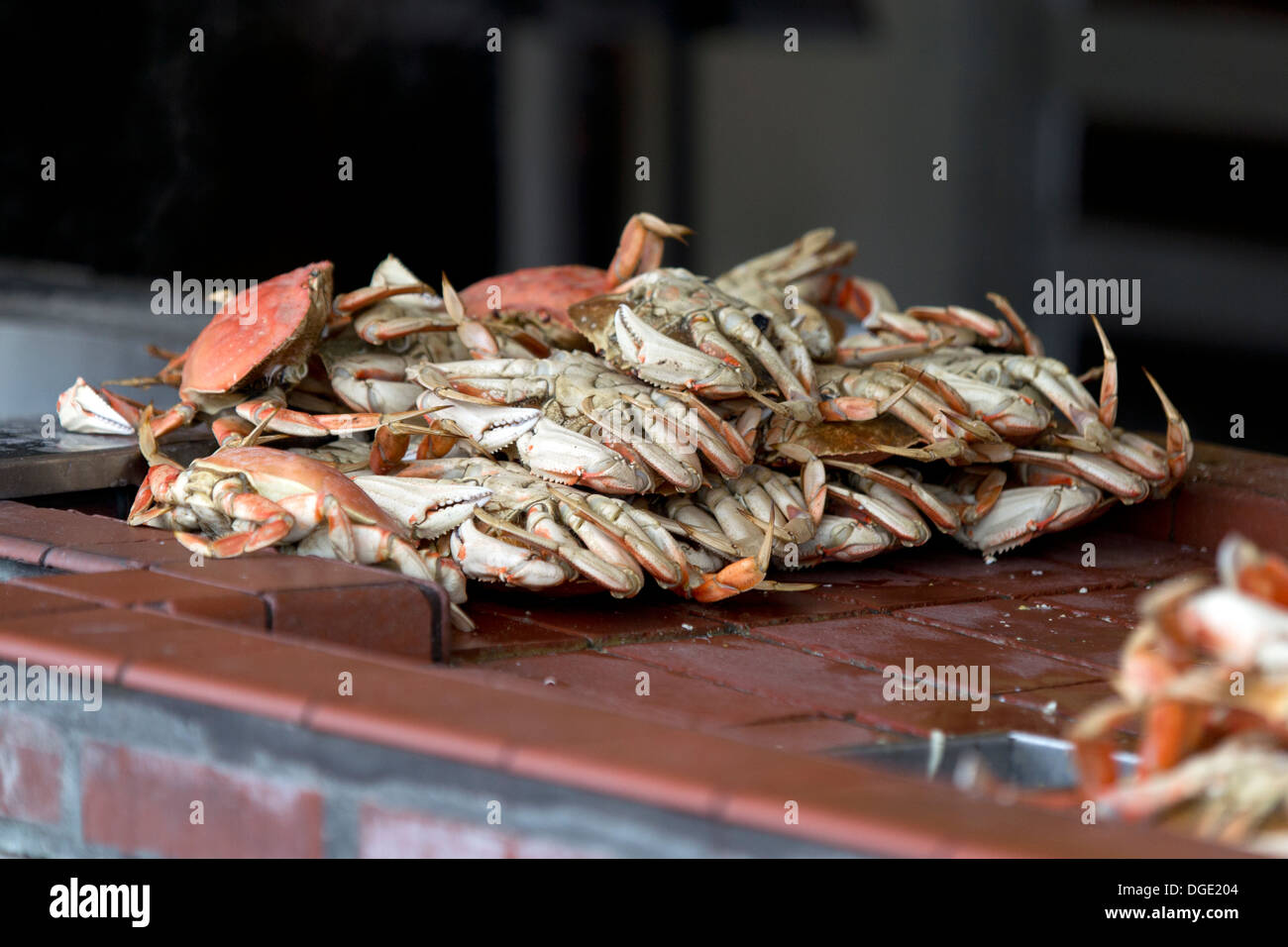 Crab claws crabs cooked -Fotos und -Bildmaterial in hoher Auflösung – Alamy