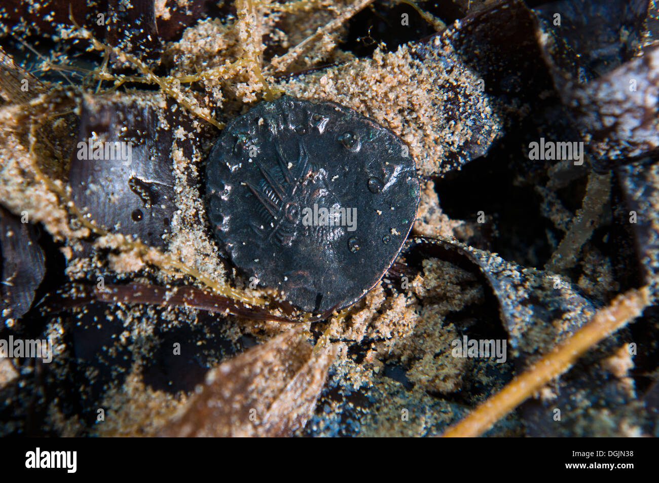 Emperor gallienus -Fotos und -Bildmaterial in hoher Auflösung – Alamy
