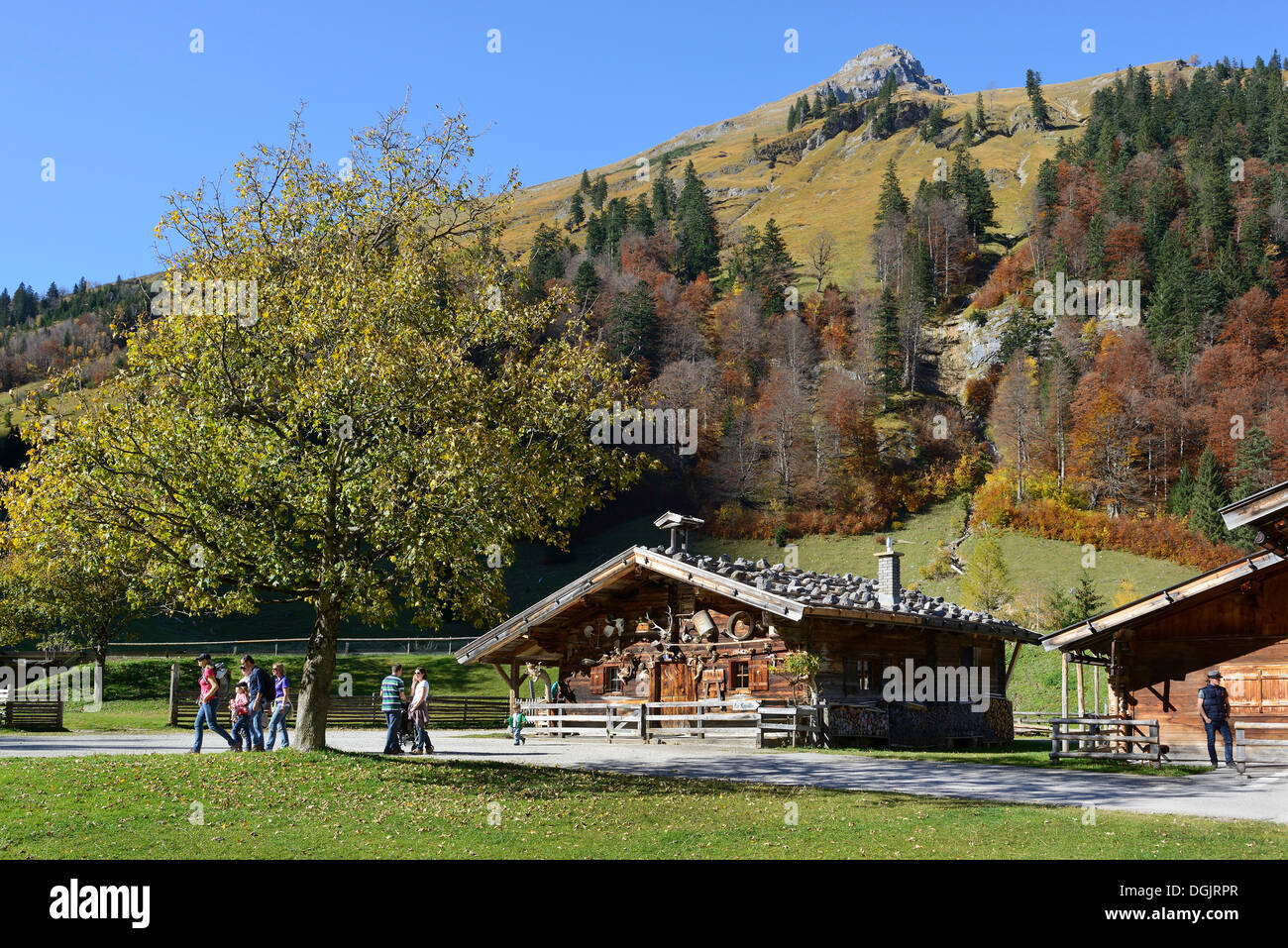 Alpine Hütte oder Chalet, Eng-Alm, Grosser Ahornboden Alm mit Ahorn ...