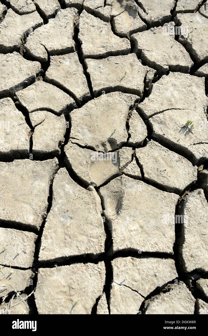 Schlamm im meer -Fotos und -Bildmaterial in hoher Auflösung – Alamy