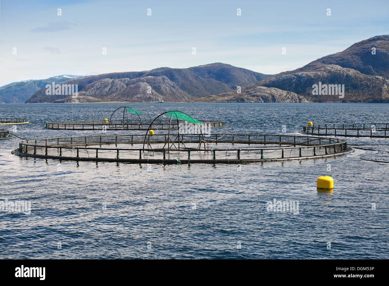 Salmon Farm In Fjord In Stockfotos & Salmon Farm In Fjord In Bilder - Alamy