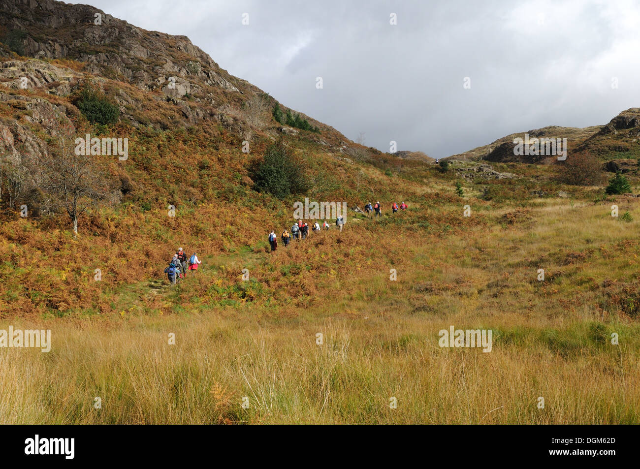 Cwm bychan snowdonia nationalpark -Fotos und -Bildmaterial in hoher ...