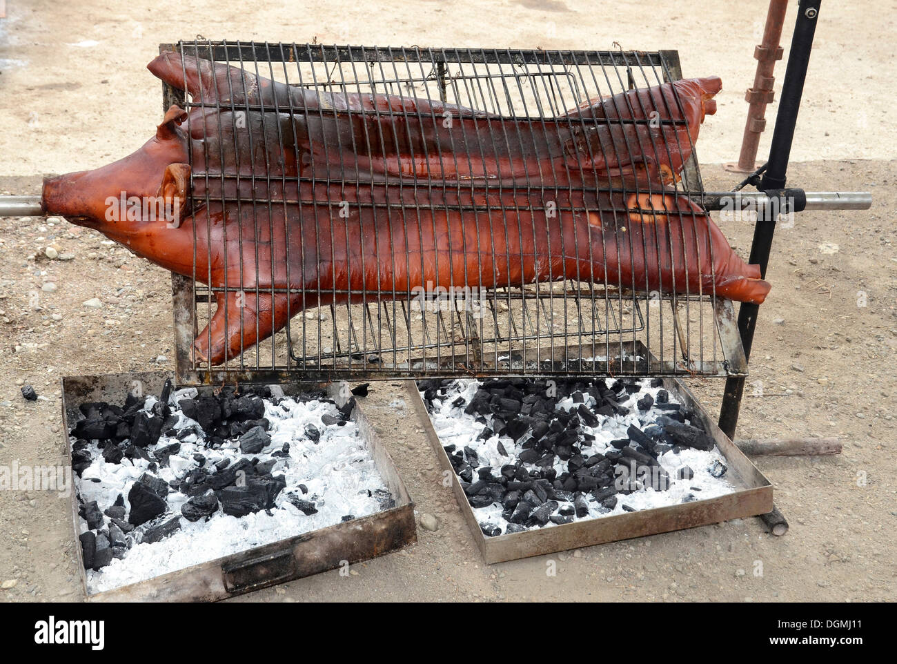 Sucking pig grill -Fotos und -Bildmaterial in hoher Auflösung – Alamy