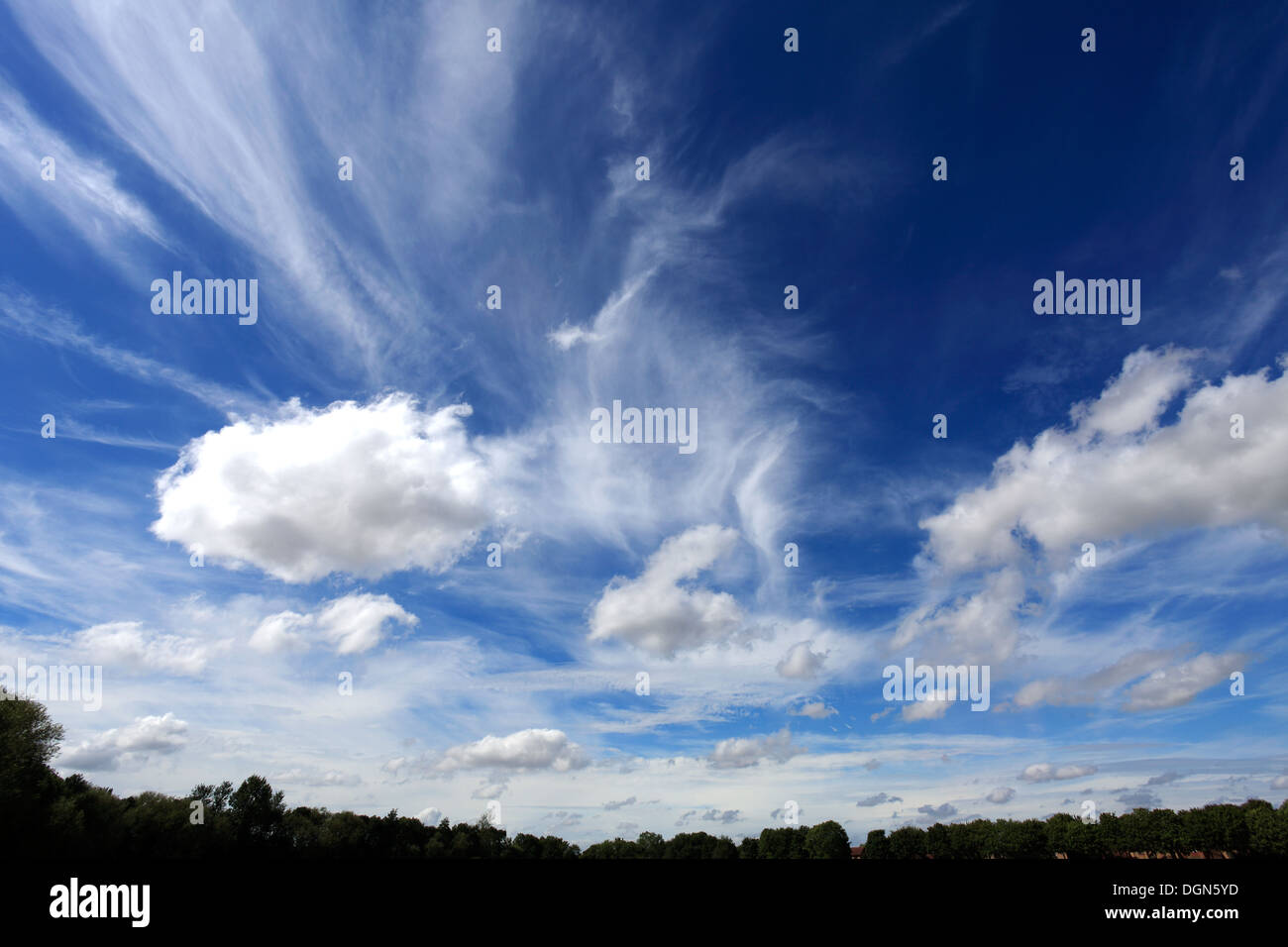 Cumulus humilis wolken cumulus humilis im blauen himmel -Fotos und -Bildmaterial in hoher ...