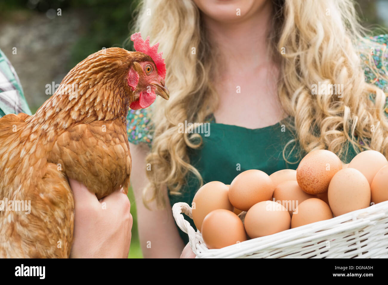 Korb huhn -Fotos und -Bildmaterial in hoher Auflösung – Alamy
