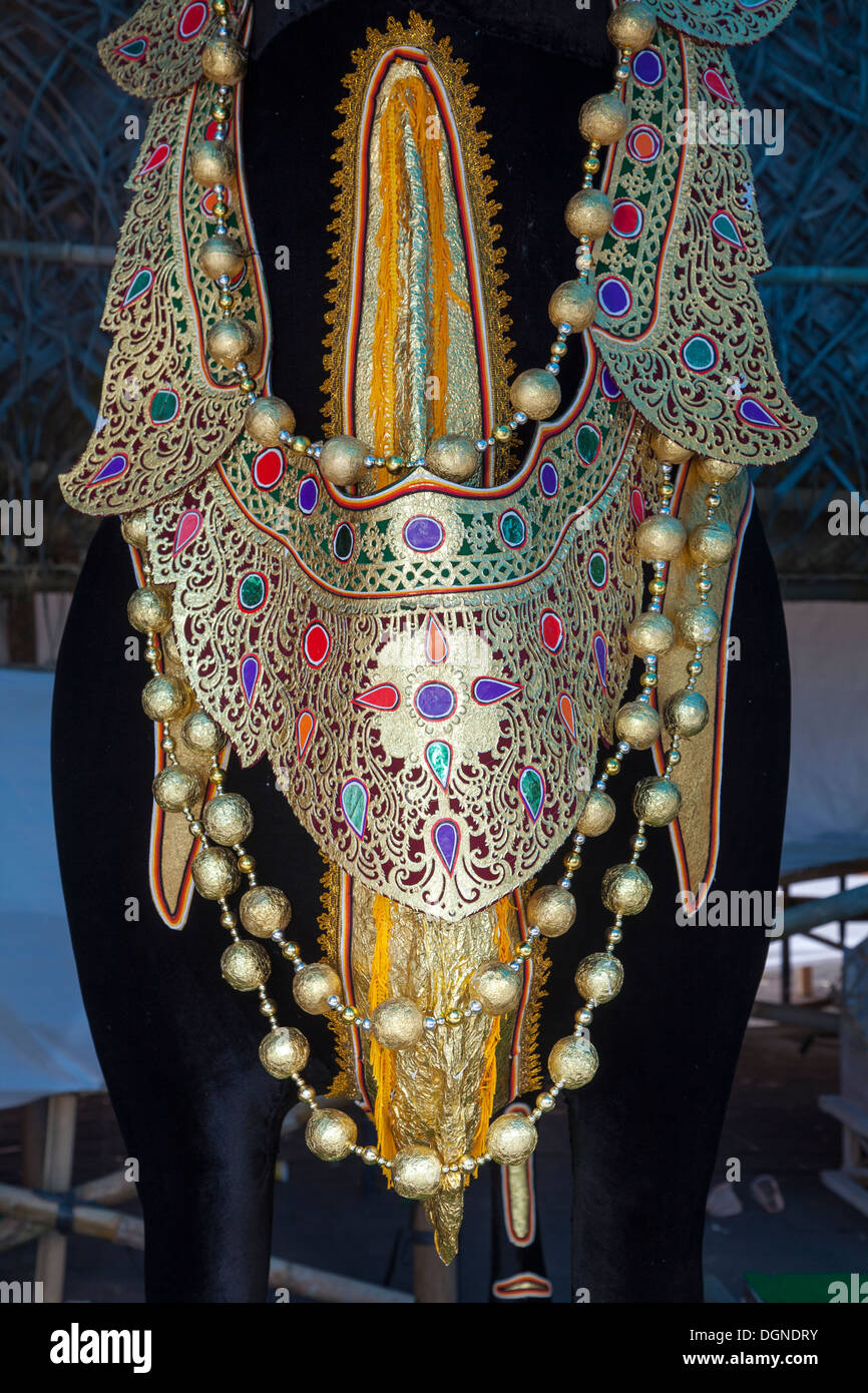 Feuerbestattung Bull Zeremonie religiöse Bali Indonesien Detail ...