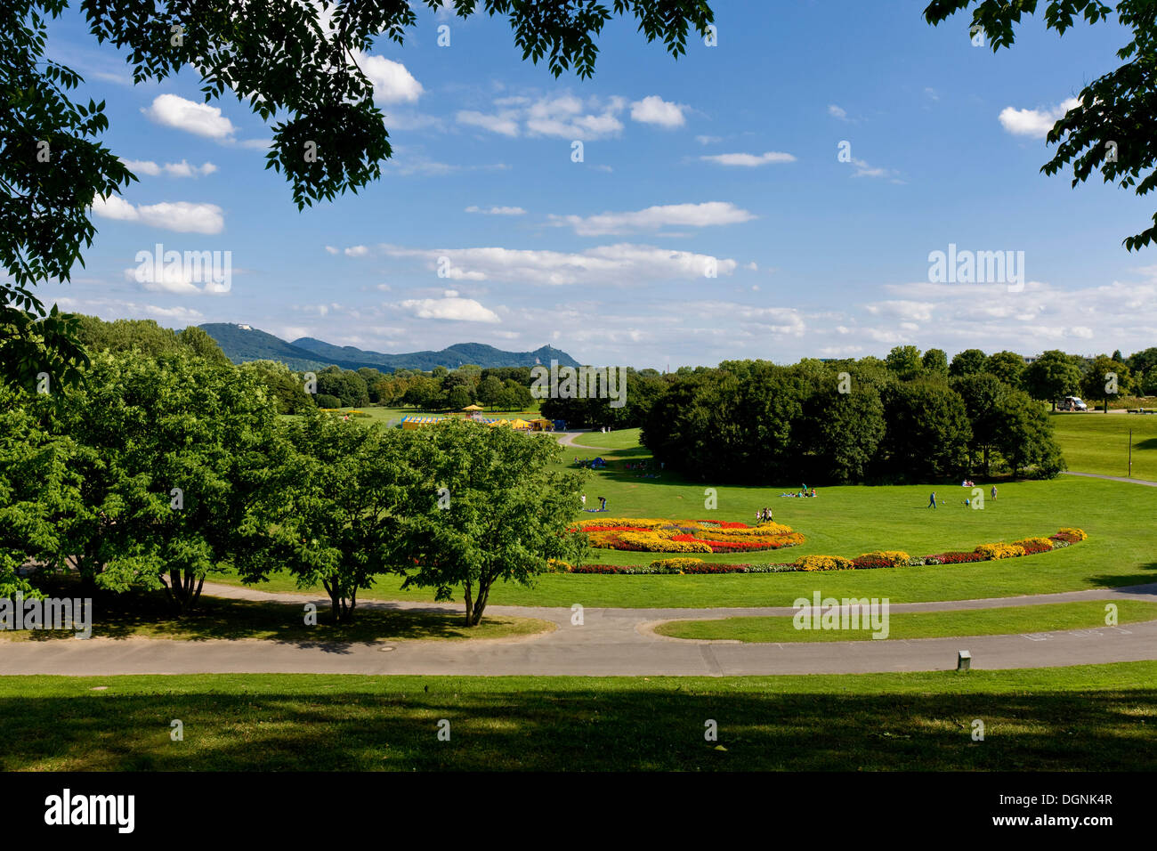 Freizeitpark rheinaue -Fotos und -Bildmaterial in hoher Auflösung – Alamy