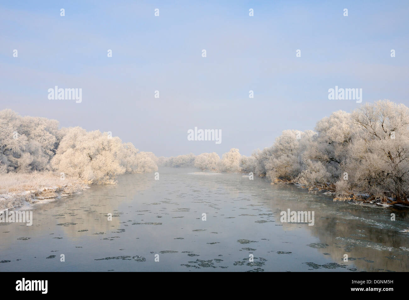 Dessau roßlau -Fotos und -Bildmaterial in hoher Auflösung – Alamy