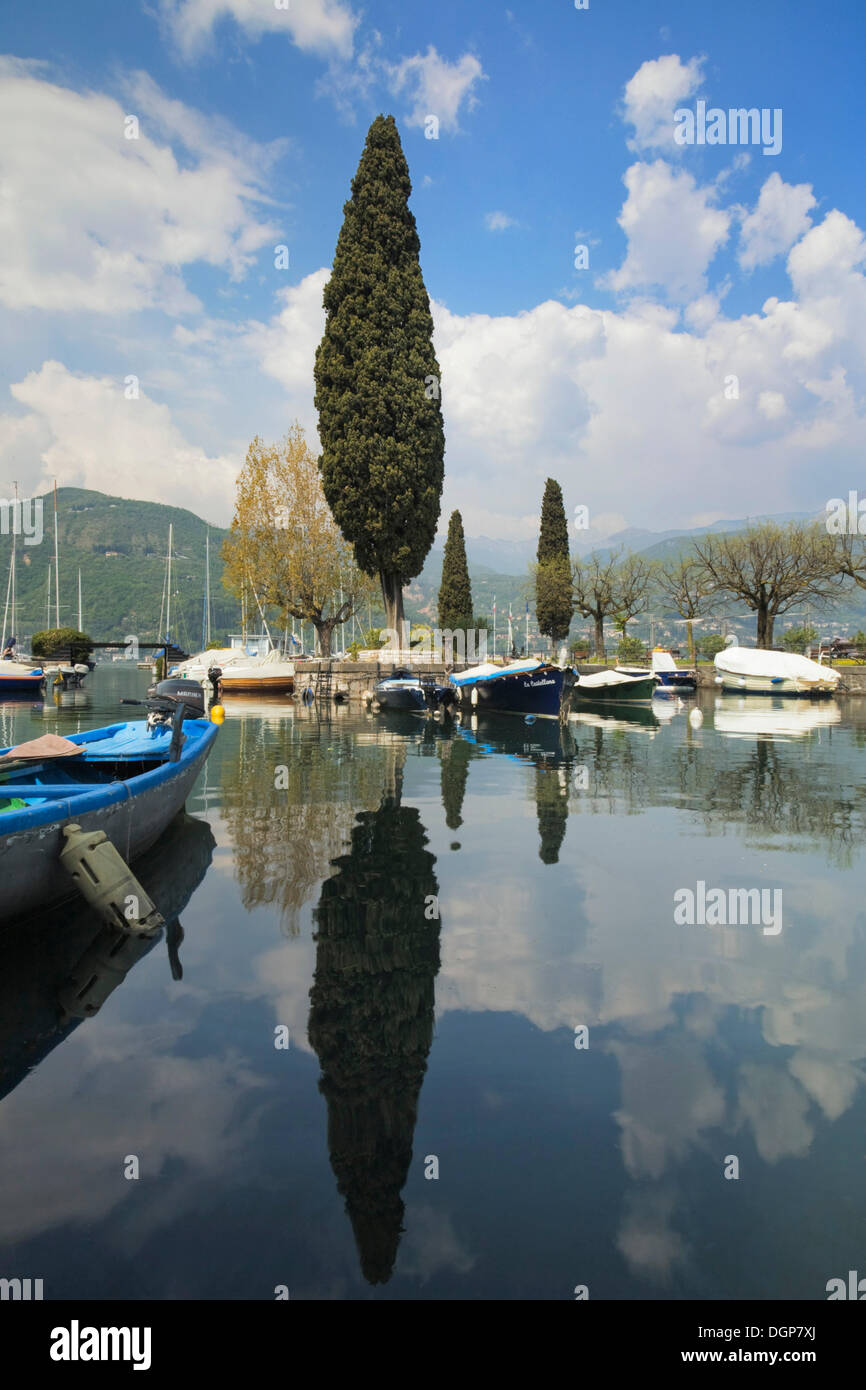 Cypress spiegelt sich in den Hafen Becken von Porto Portese, Gardasee ...