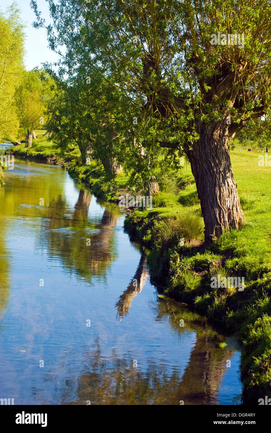 Verschwommener hintergrund am flussufer -Fotos und -Bildmaterial in ...