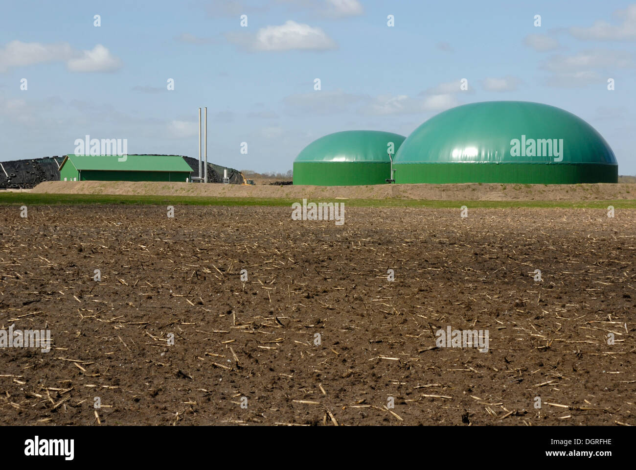 Biogasanlage, Biomasse-Kraftwerk mit Kraft-Wärme-Netzteil, CHP, für ...