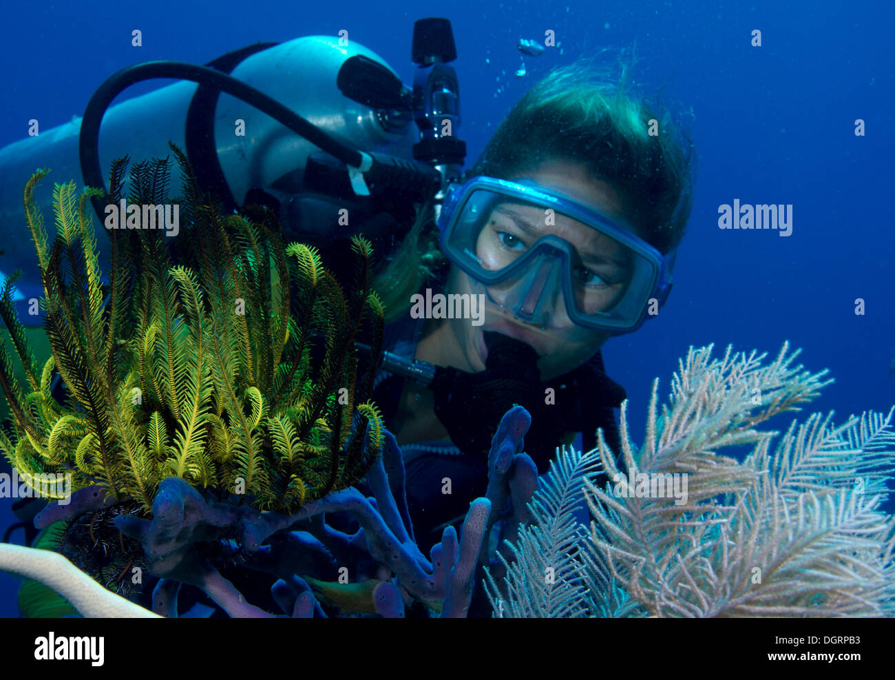 Woman scuba diver close up -Fotos und -Bildmaterial in hoher Auflösung ...