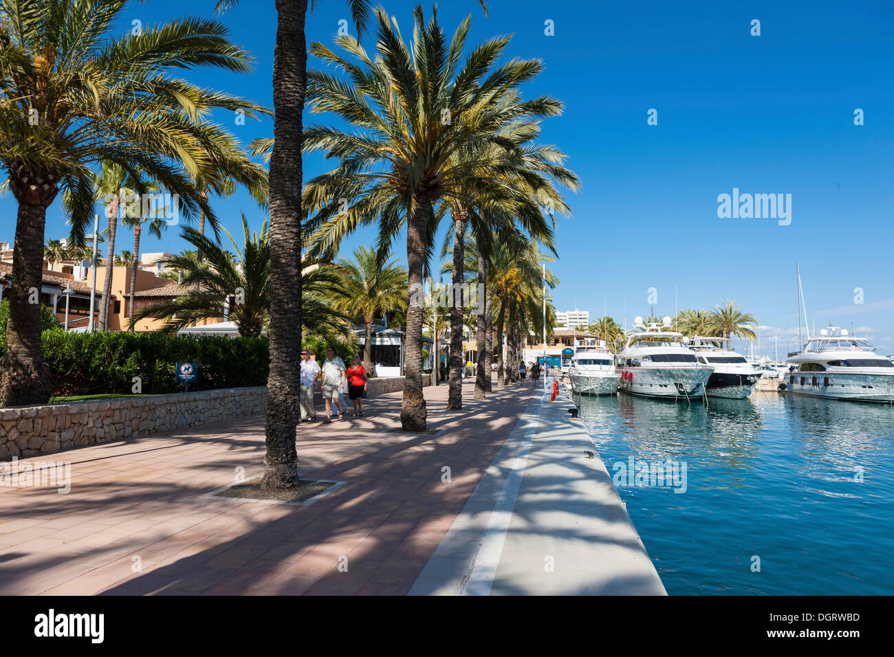 Puerto portals mallorca -Fotos und -Bildmaterial in hoher Auflösung – Alamy