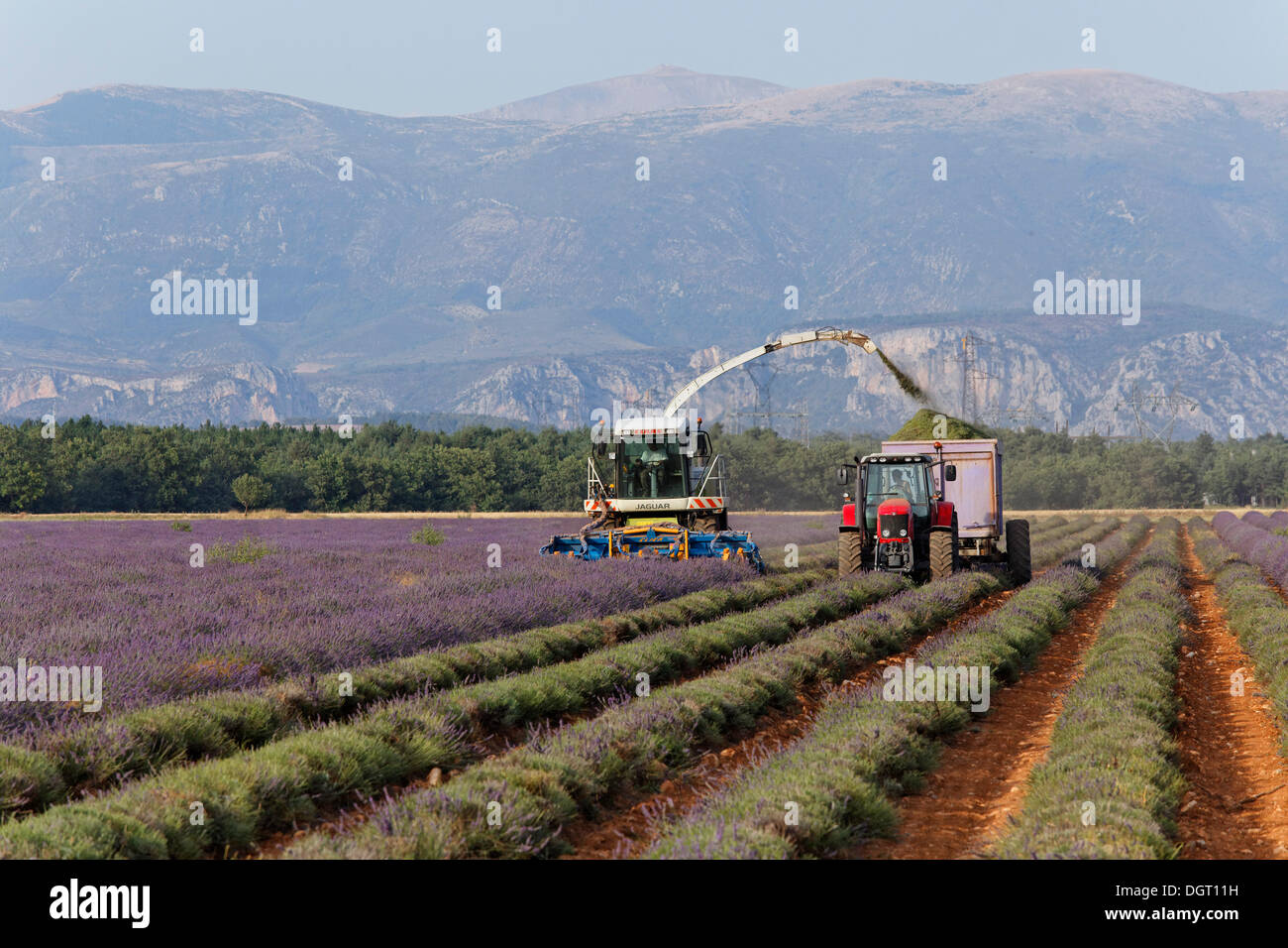 Moderne Anbaumethoden Stockfotos und -bilder Kaufen - Alamy