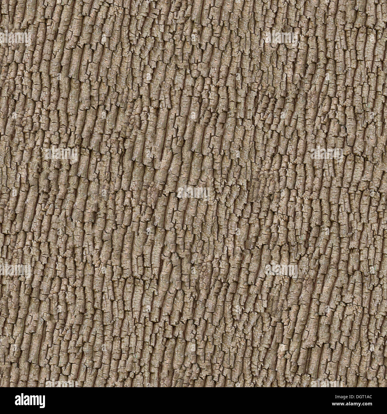 Seamless brown wood texture -Fotos und -Bildmaterial in hoher Auflösung ...