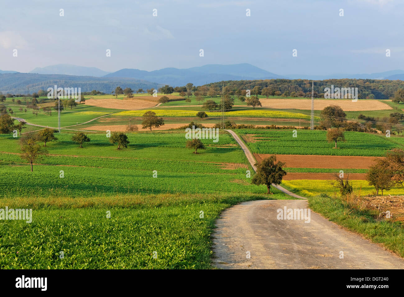 Dinkelberg rheinfelden -Fotos und -Bildmaterial in hoher Auflösung – Alamy