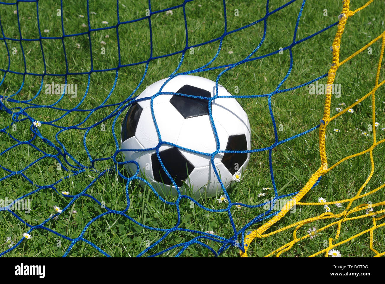 Tor im feld -Fotos und -Bildmaterial in hoher Auflösung – Alamy