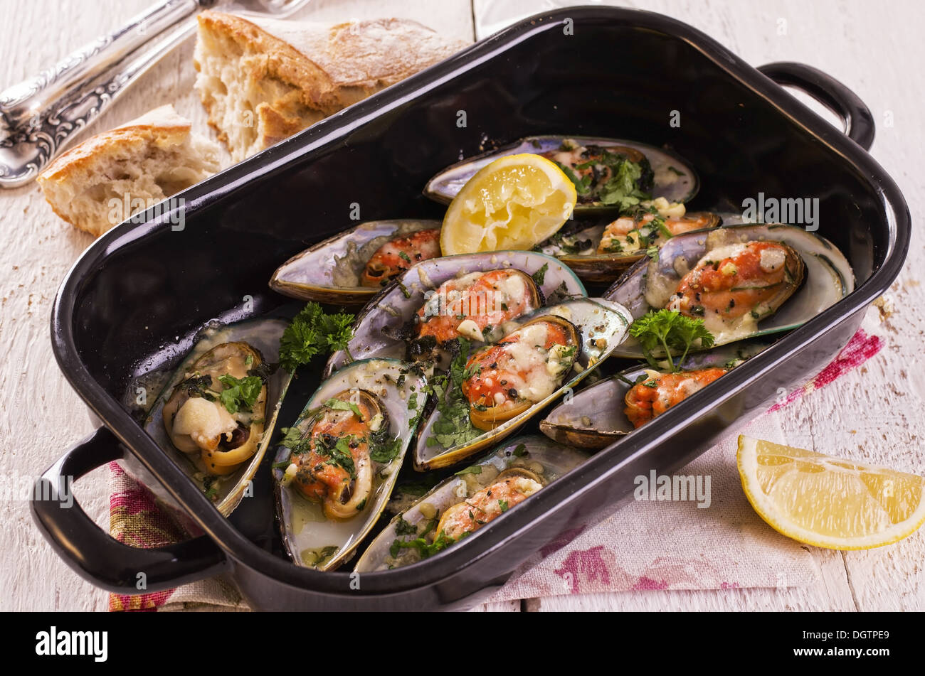 Grunlipp muschel -Fotos und -Bildmaterial in hoher Auflösung – Alamy
