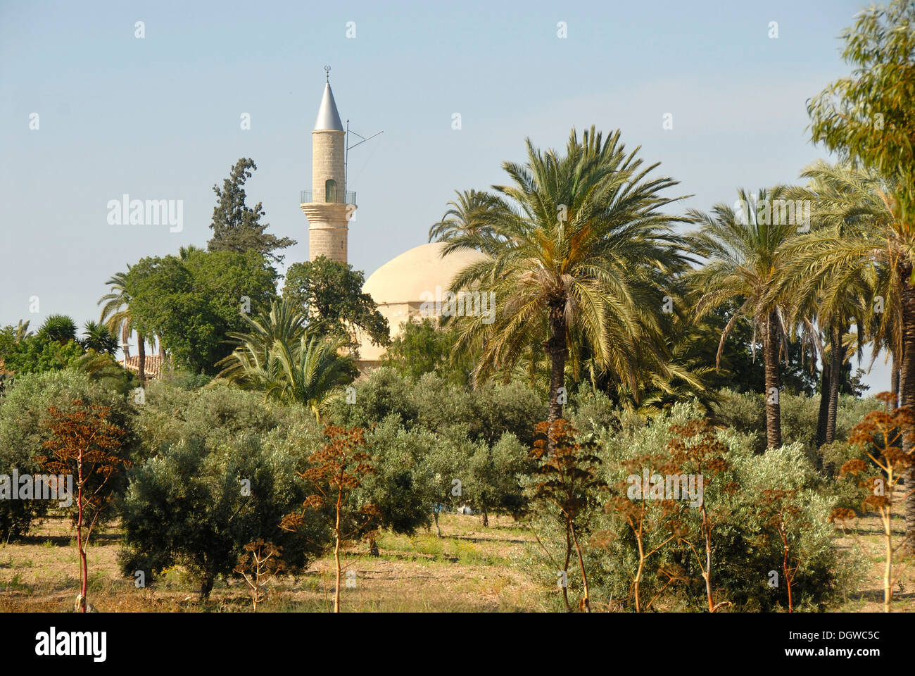 Islam, Minarett und Hala Sultan Tekke Moschee, Heiligtum, Palm trees ...