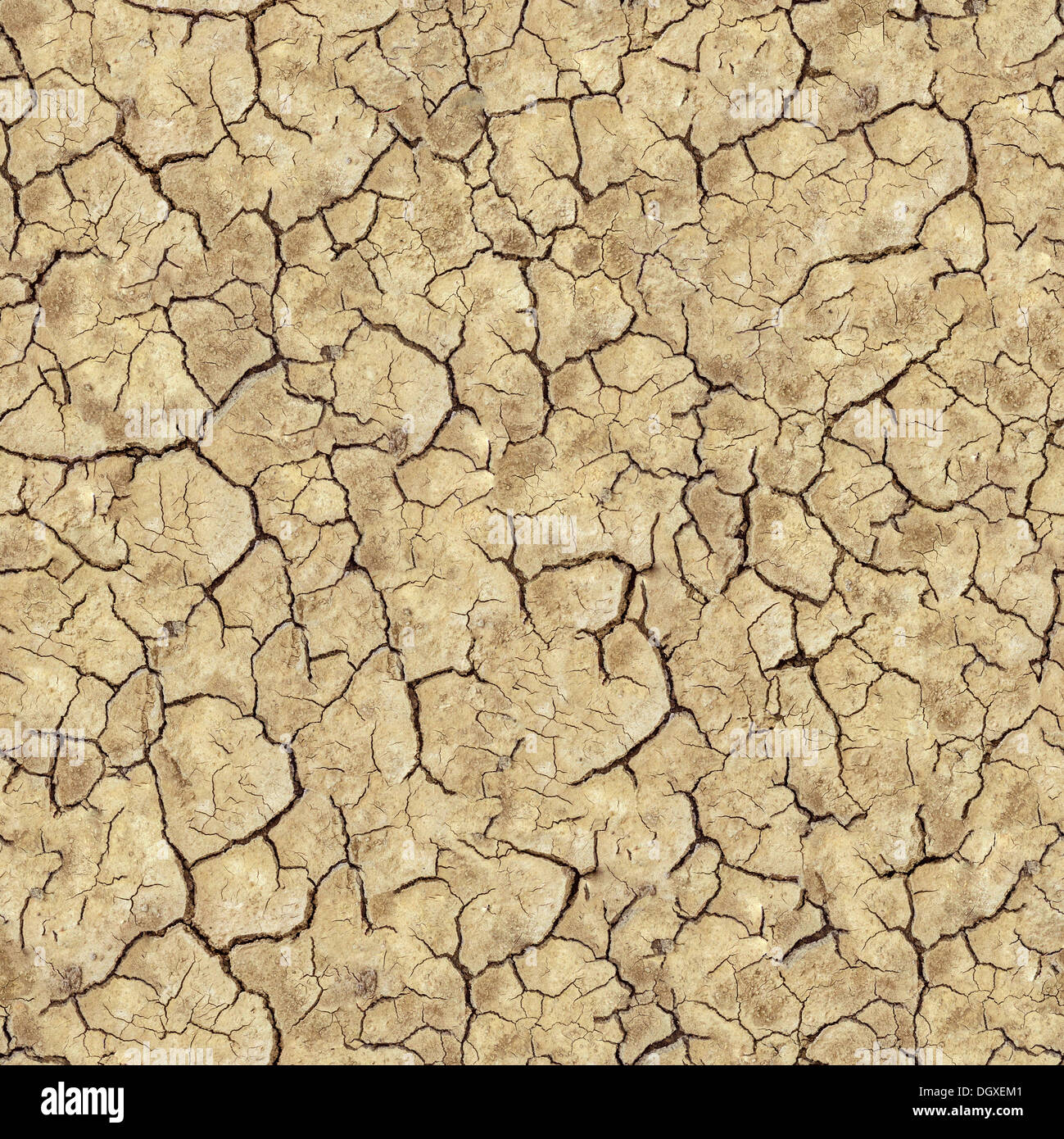 Boden braun -Fotos und -Bildmaterial in hoher Auflösung – Alamy