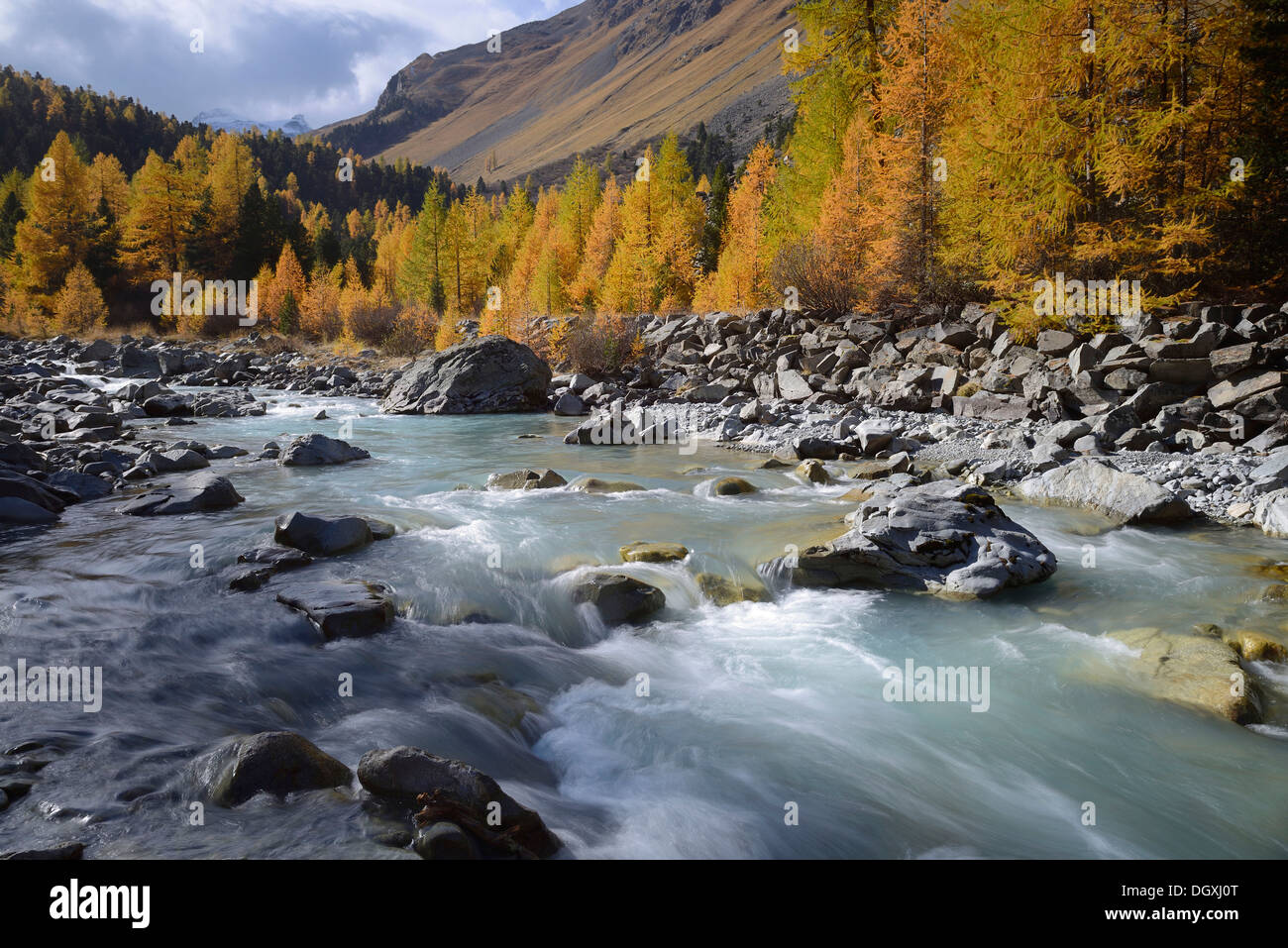 Lärchenwald Engadin Herbst Stockfotos und -bilder Kaufen - Alamy