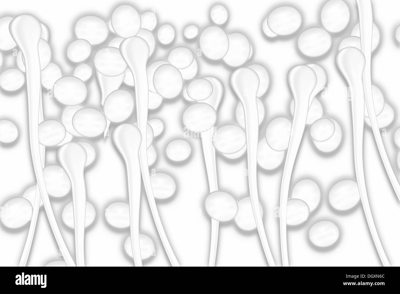 Zellen biologie Schwarzweiß-Stockfotos und -bilder - Alamy