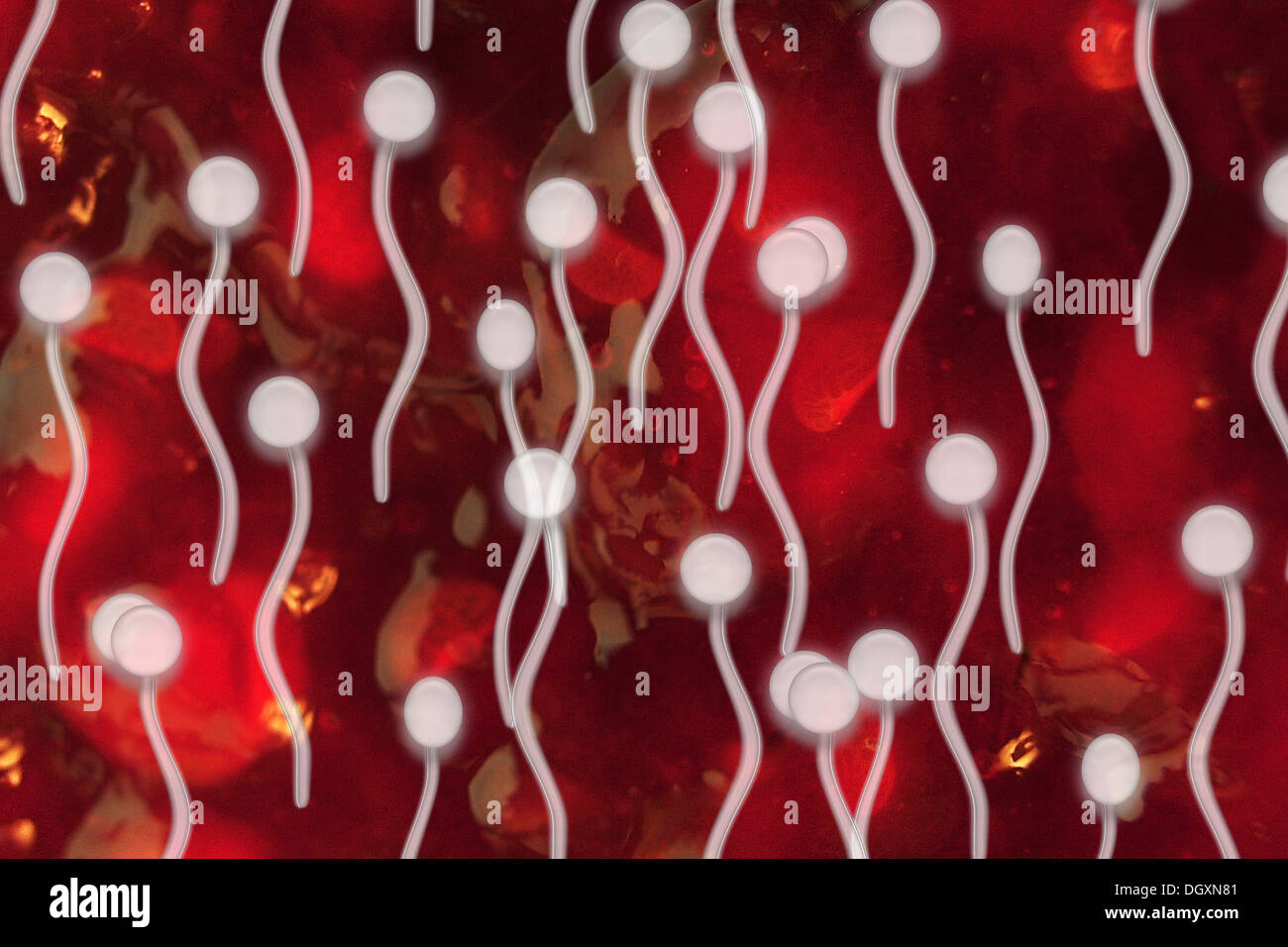 Yeast cells -Fotos und -Bildmaterial in hoher Auflösung – Alamy