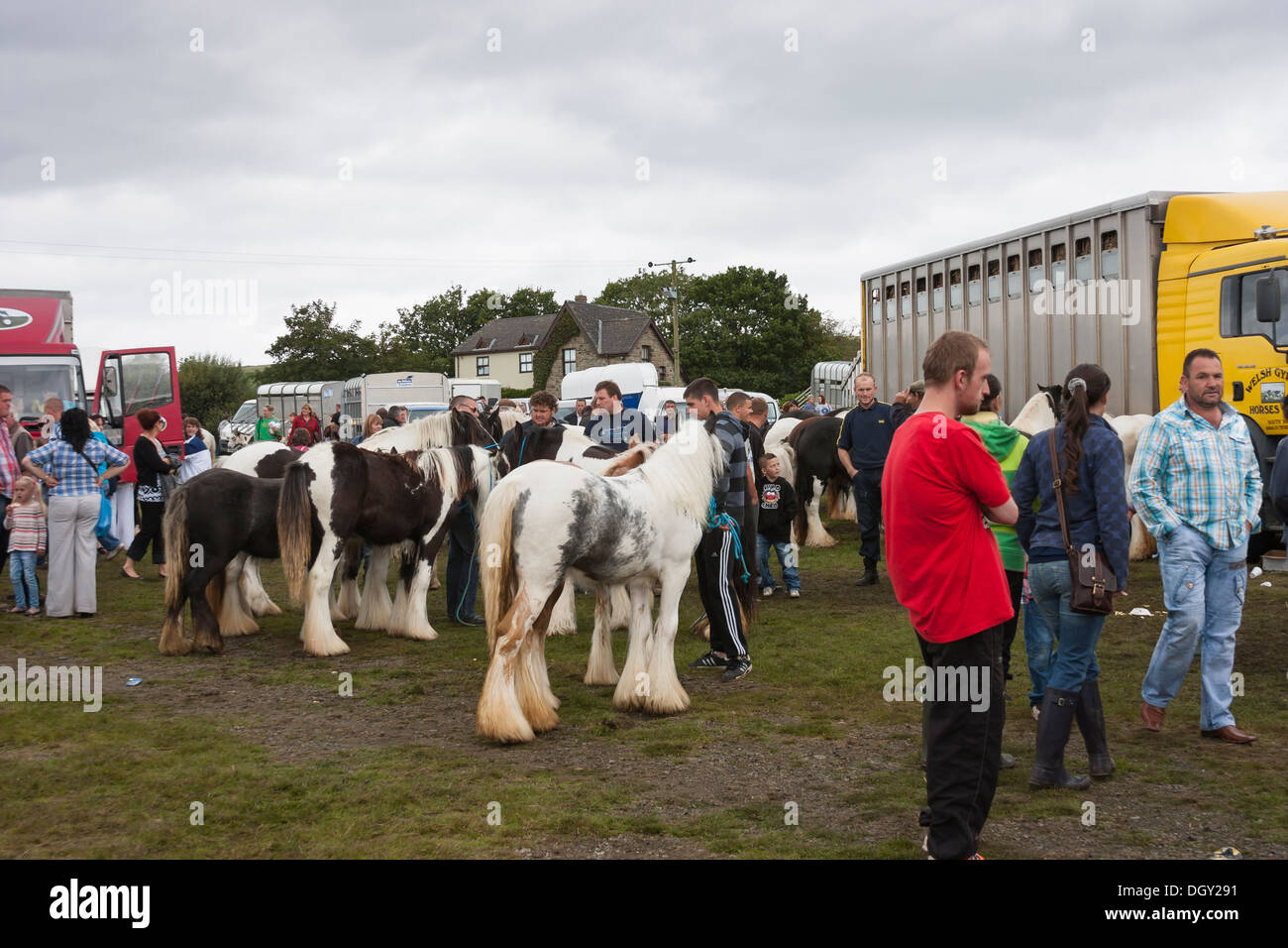 Zigeuner pony -Fotos und -Bildmaterial in hoher Auflösung – Alamy