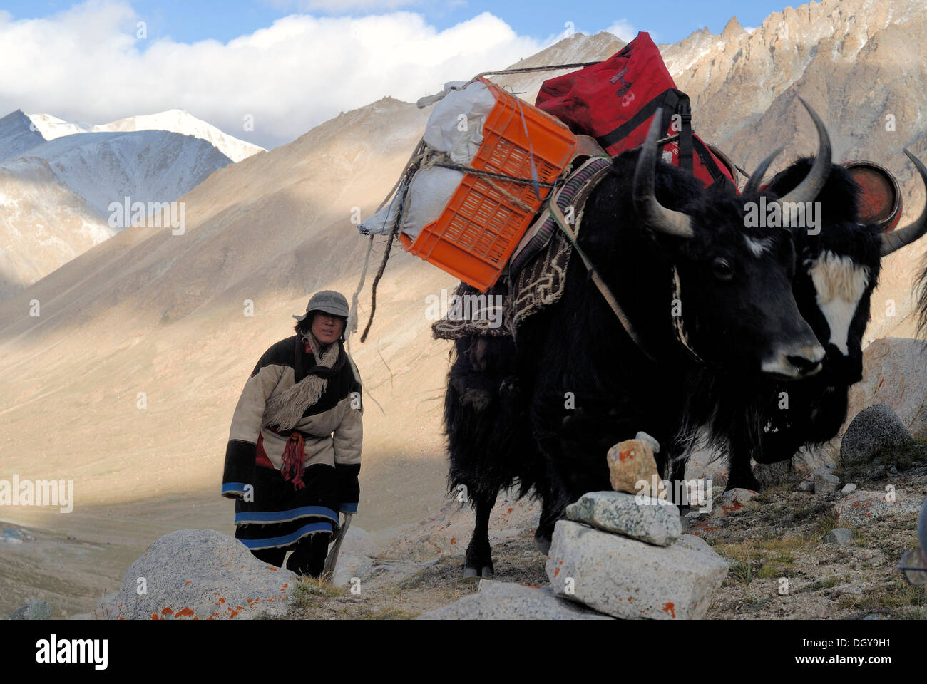 Dolma la -Fotos und -Bildmaterial in hoher Auflösung – Alamy