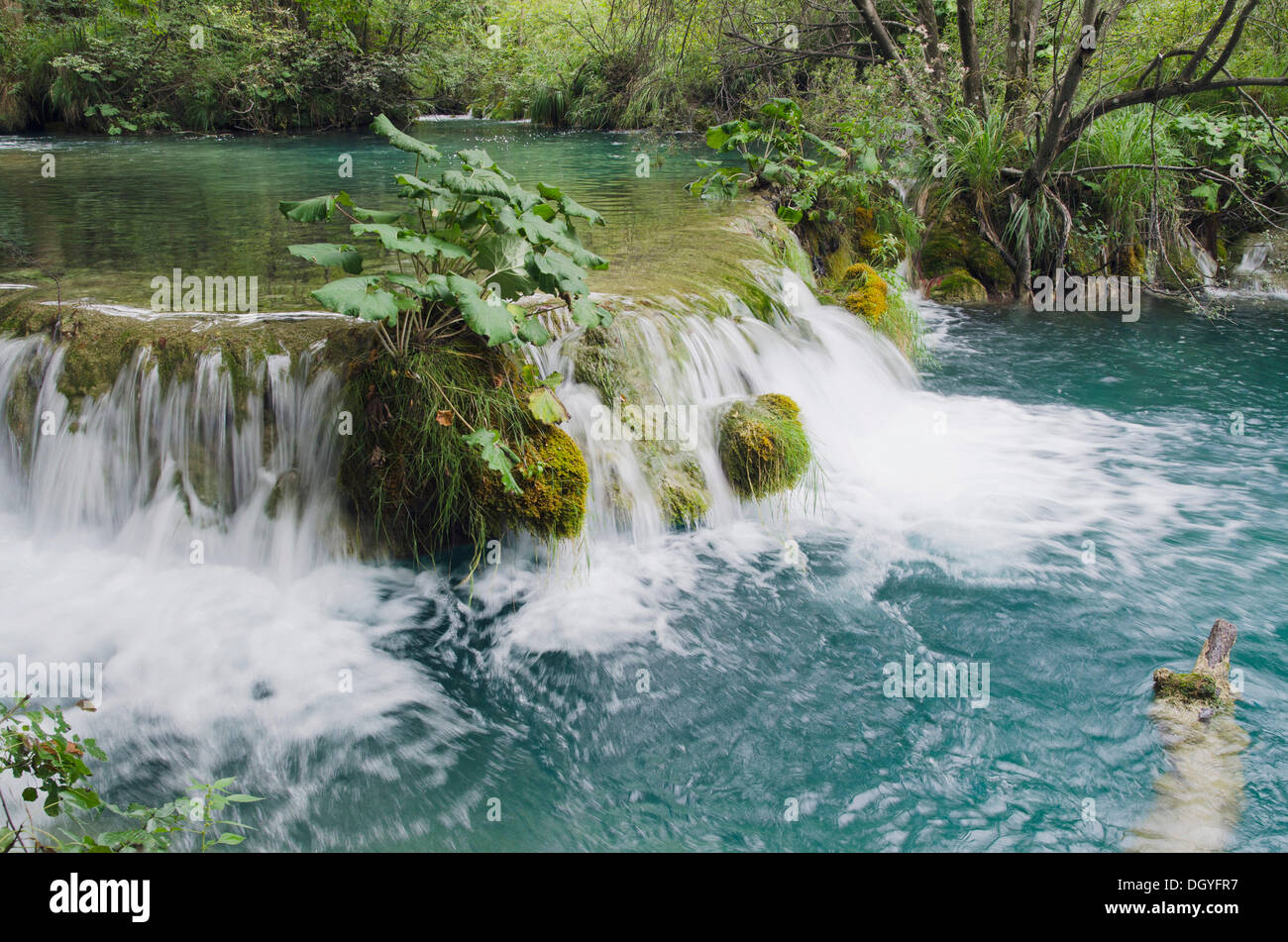 Wasserfall im Nationalpark Plitvicer Seen, UNESCO-Weltkulturerbe, Plitvicka Jezera, Lika-Senj ...