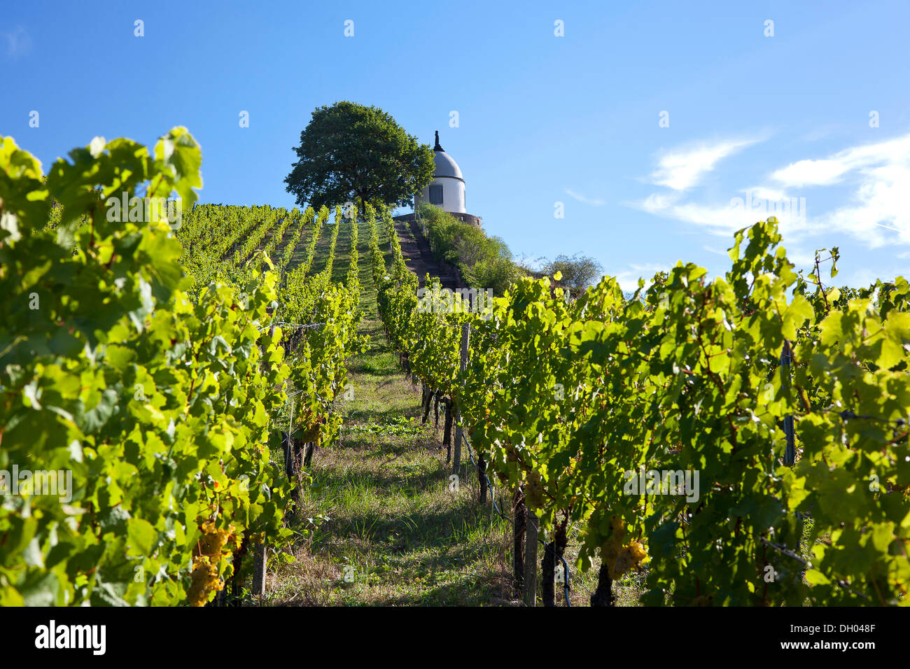 Elbe slopes -Fotos und -Bildmaterial in hoher Auflösung – Alamy