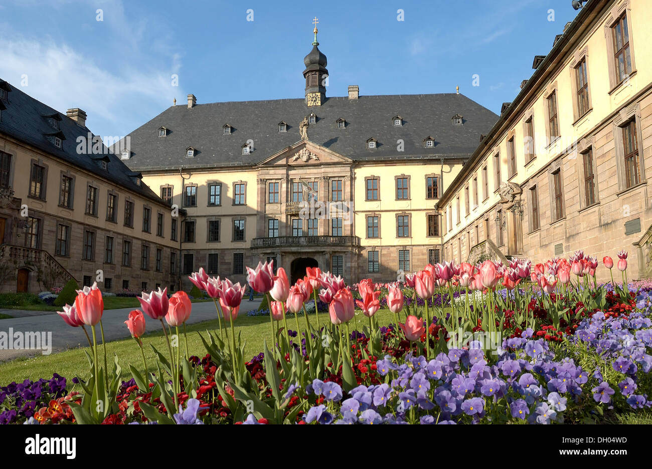 Ehrentag der pflanzen -Fotos und -Bildmaterial in hoher Auflösung – Alamy