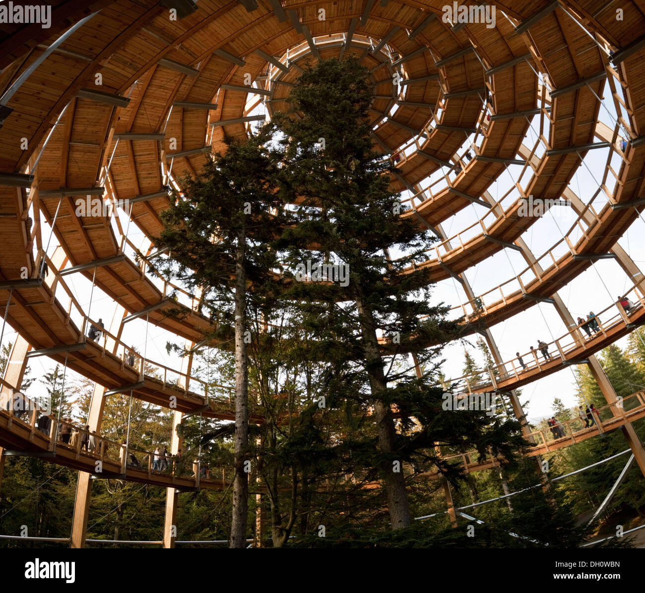 Baum-Top walk, Neuschoenau, Nationalpark Bayerischer Wald, Bayern ...