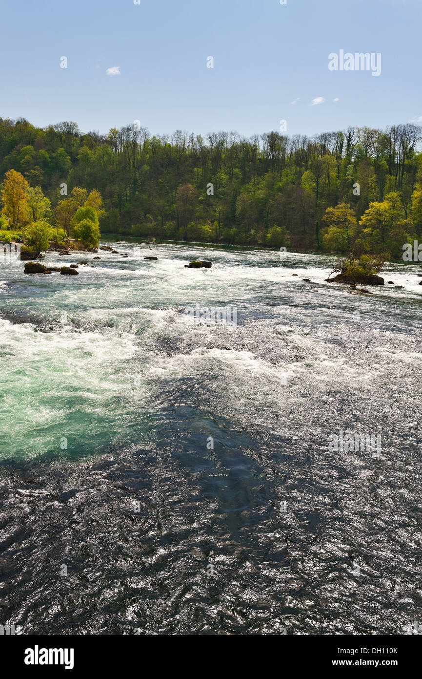 Quelle rhein -Fotos und -Bildmaterial in hoher Auflösung – Alamy