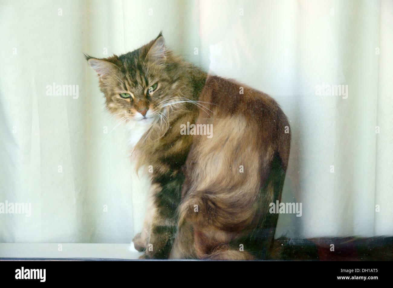 Verführerische zurückhaltung -Fotos und -Bildmaterial in hoher ...