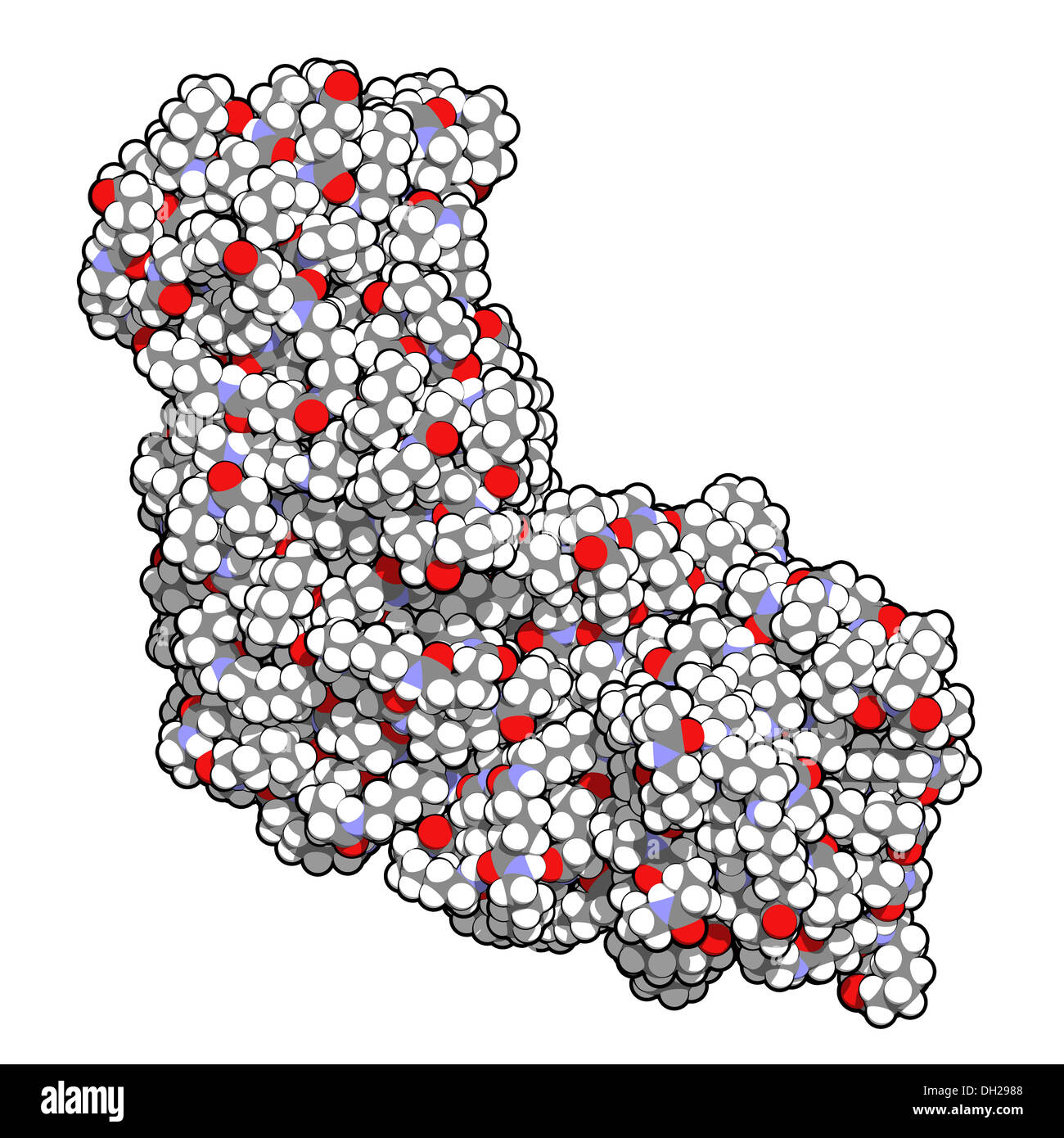 Nylon (Nylon 6,6) Plastikpolymer, chemische Struktur. Atome werden als ...