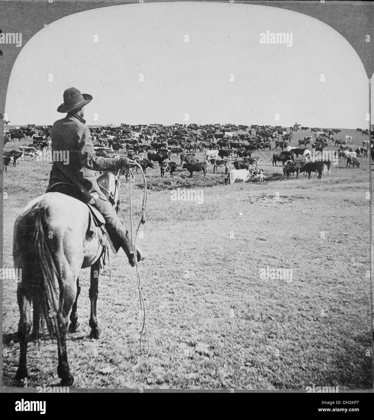 Sherman ranch -Fotos und -Bildmaterial in hoher Auflösung – Alamy