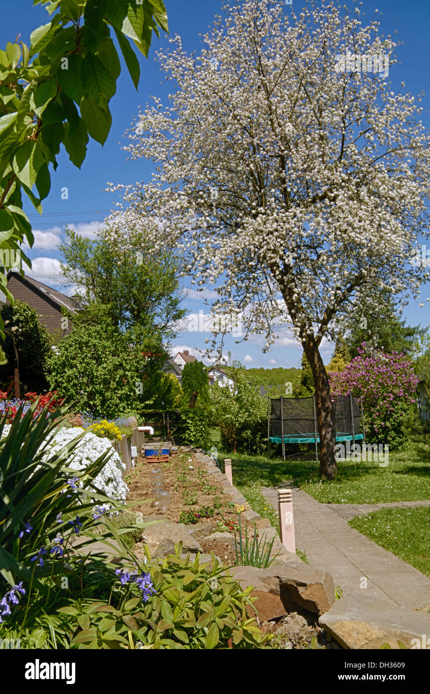 Apfelbaum garten -Fotos und -Bildmaterial in hoher Auflösung – Alamy