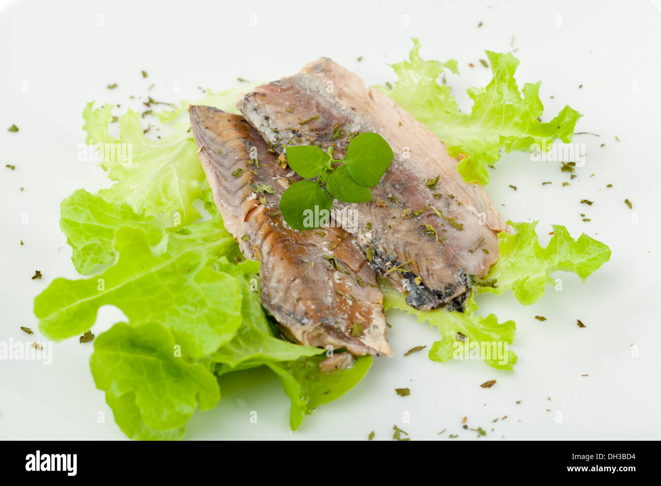 Makrele auf schwarzem hintergrund -Fotos und -Bildmaterial in hoher ...