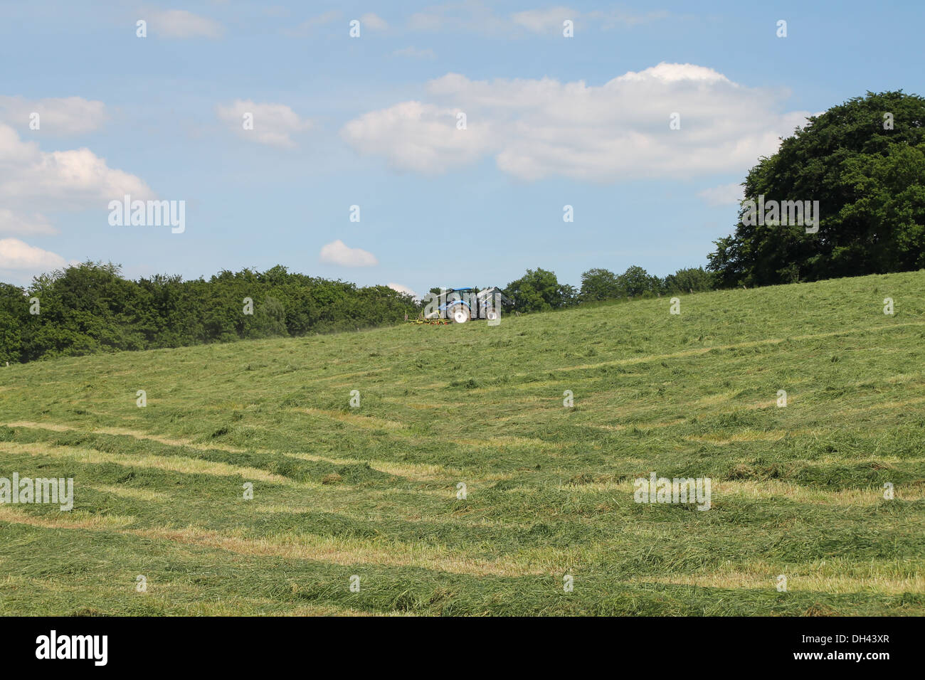 Heuernte heuernte -Fotos und -Bildmaterial in hoher Auflösung – Alamy
